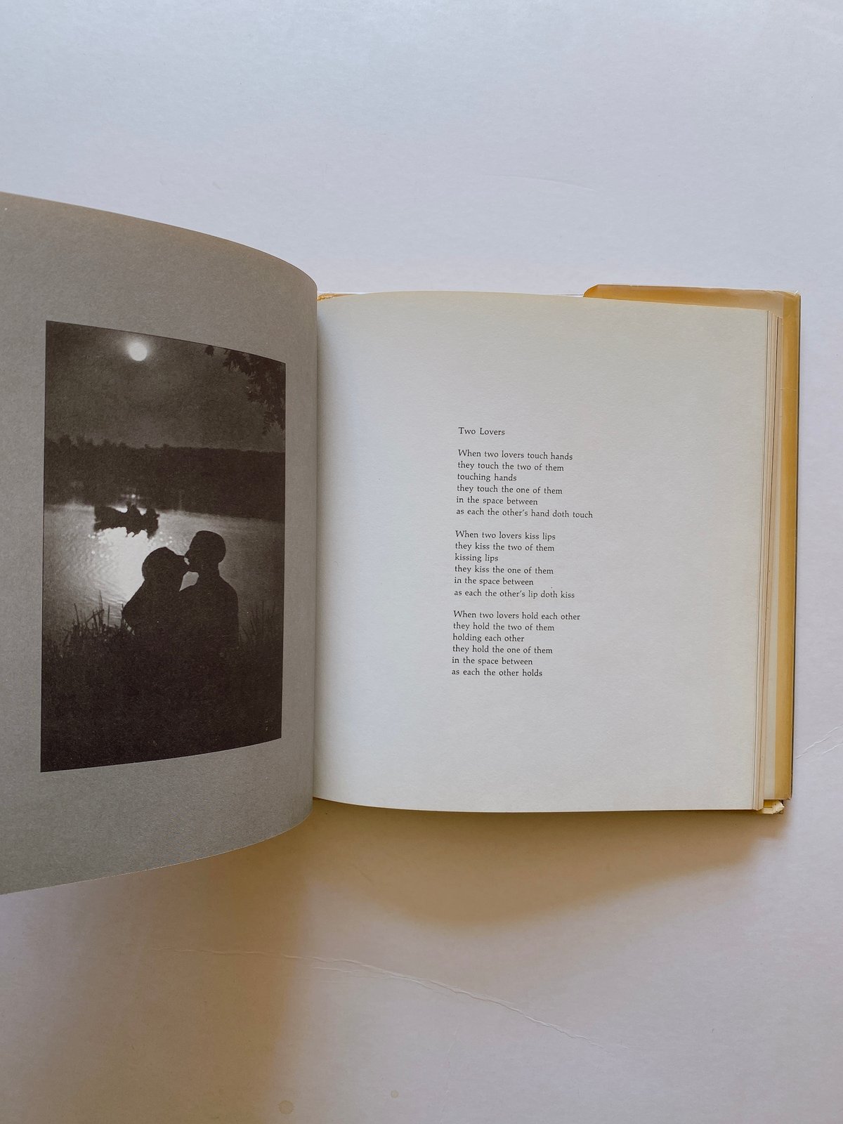 DRY SONGS AND SCRIBBLES | BOOKNERD