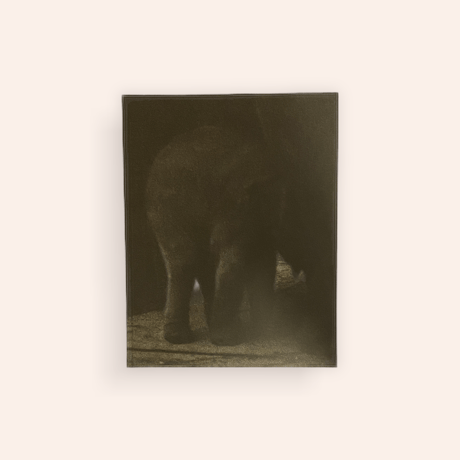 Entendue | BOOKNERD