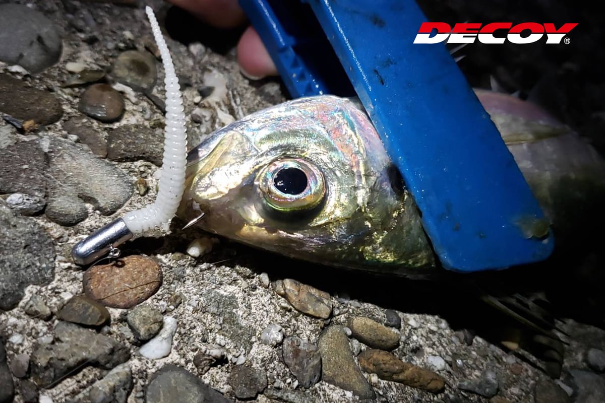 Rocket Magic | KATSUICHI / DECOY offici...