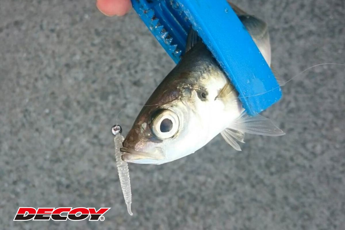 Mini Drive | KATSUICHI / DECOY official...