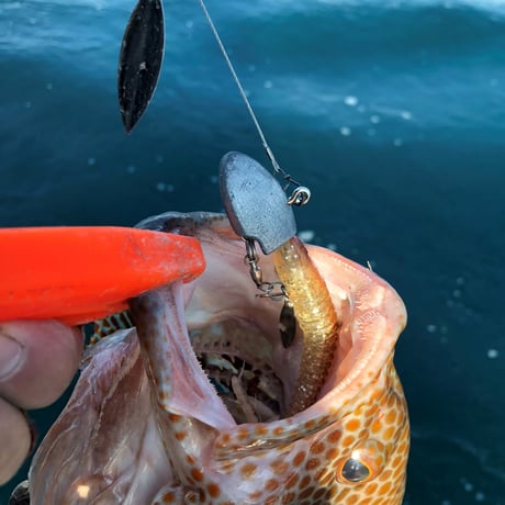 S.G.Head Heavy | KATSUICHI / DECOY off...