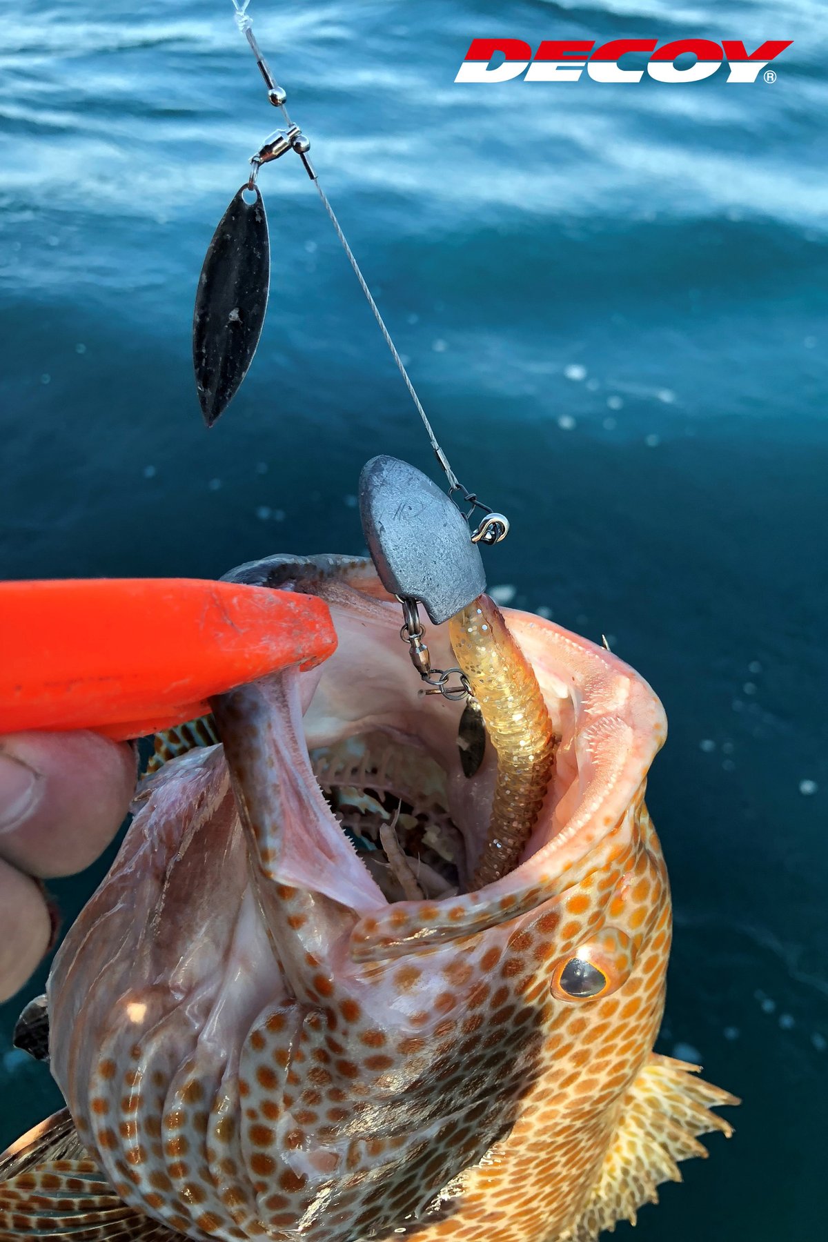 S.G.Head Heavy | KATSUICHI / DECOY off...