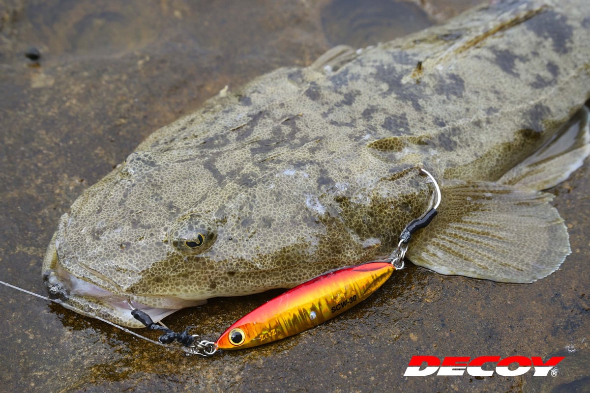 Short Pike | KATSUICHI / DECOY official...