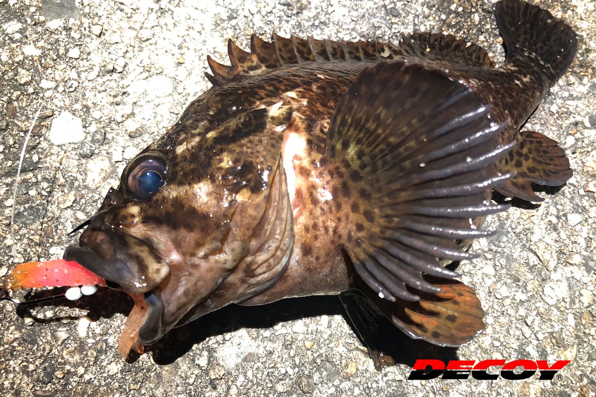 Makisasu Hook | KATSUICHI / DECOY offi...