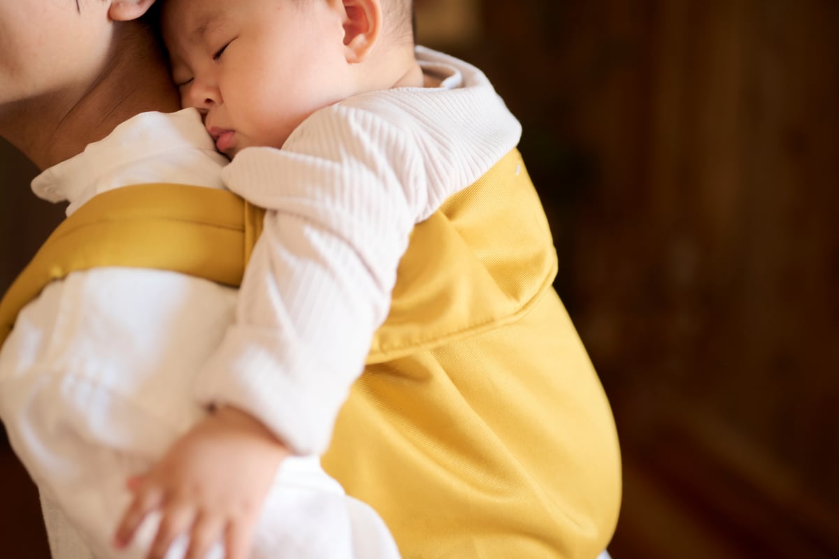 【完売・限定販売・次回生産は2025年春予定】gran mocco ベーシック 菜花色(なのは...