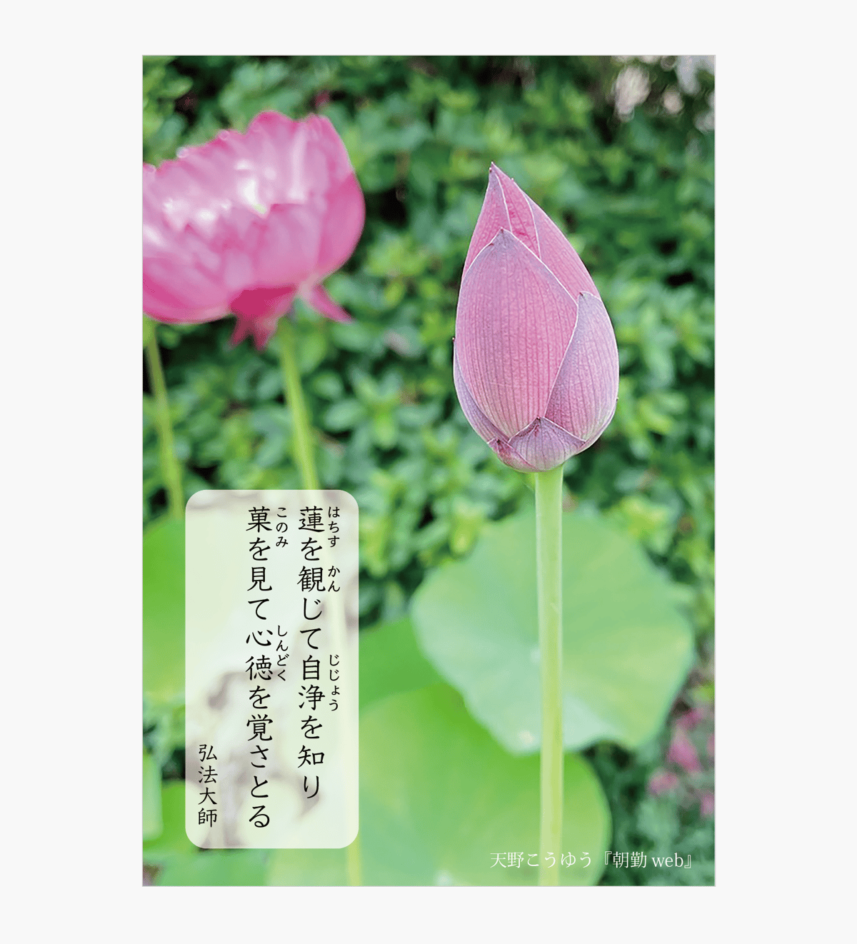 土ほとけポストカードセット（12枚入り） | mihotoke STORE