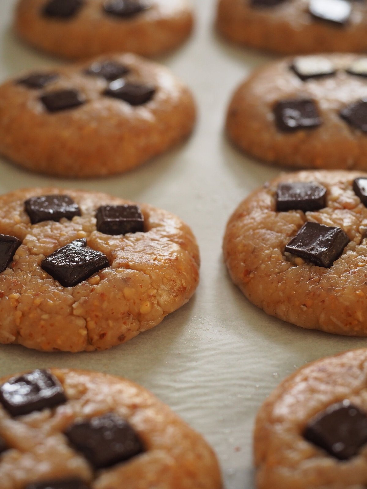 CHOCOCHIPS COOKIES 【Monster】 1pack 予約受付5月1日(木)2 CHOCOCHIPS COOKIES 【Monster】 1pack 予約受付5月1日(木)2