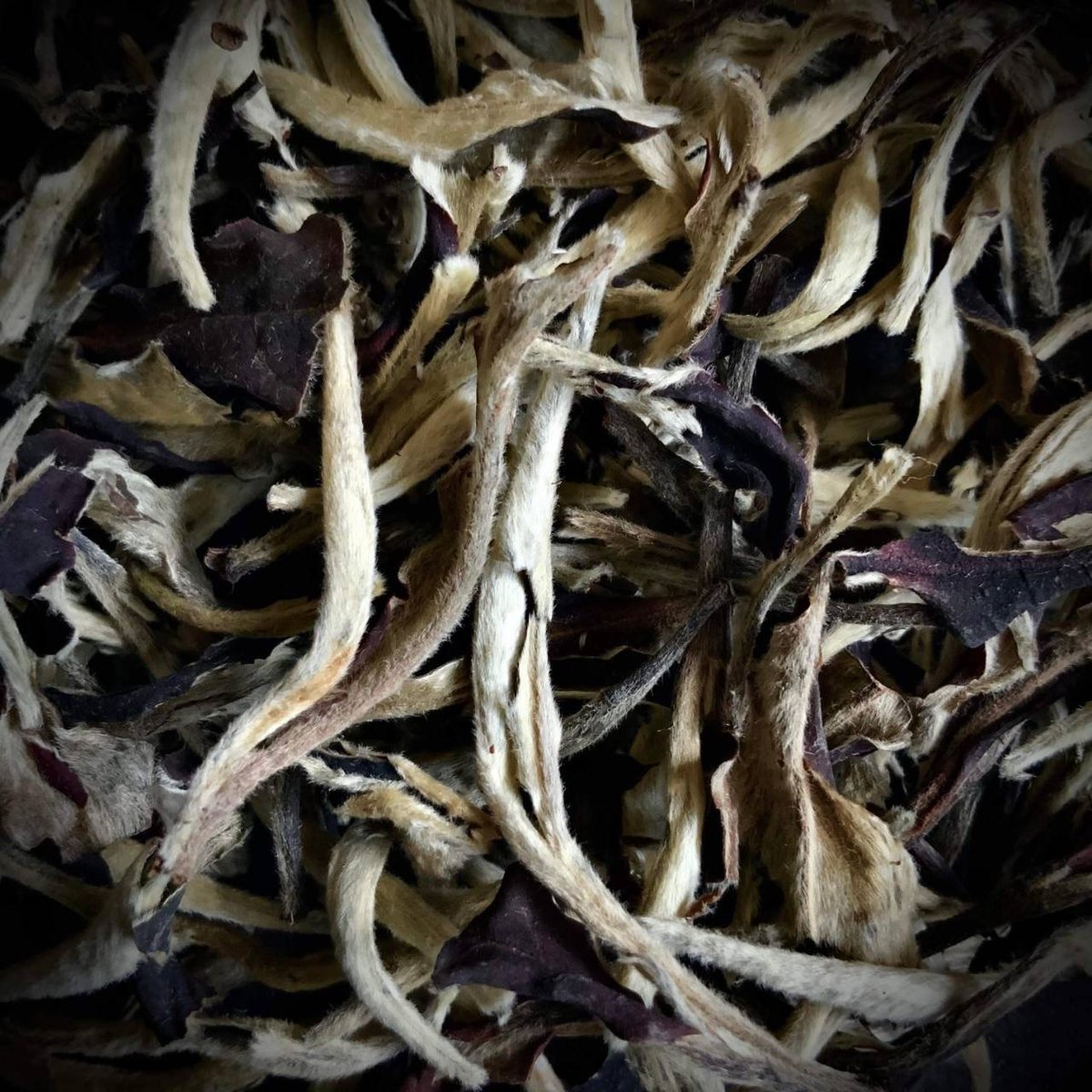 Prime of Moon 30g | Tamarix Chinese Tea