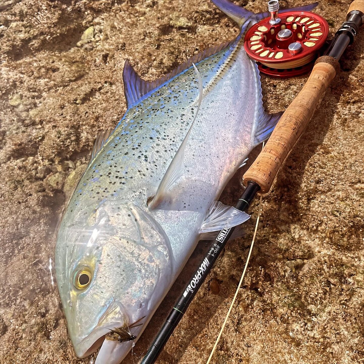 【mkbオリジナル】Griffon グリフォン タイイングスターターキット | mkb out...