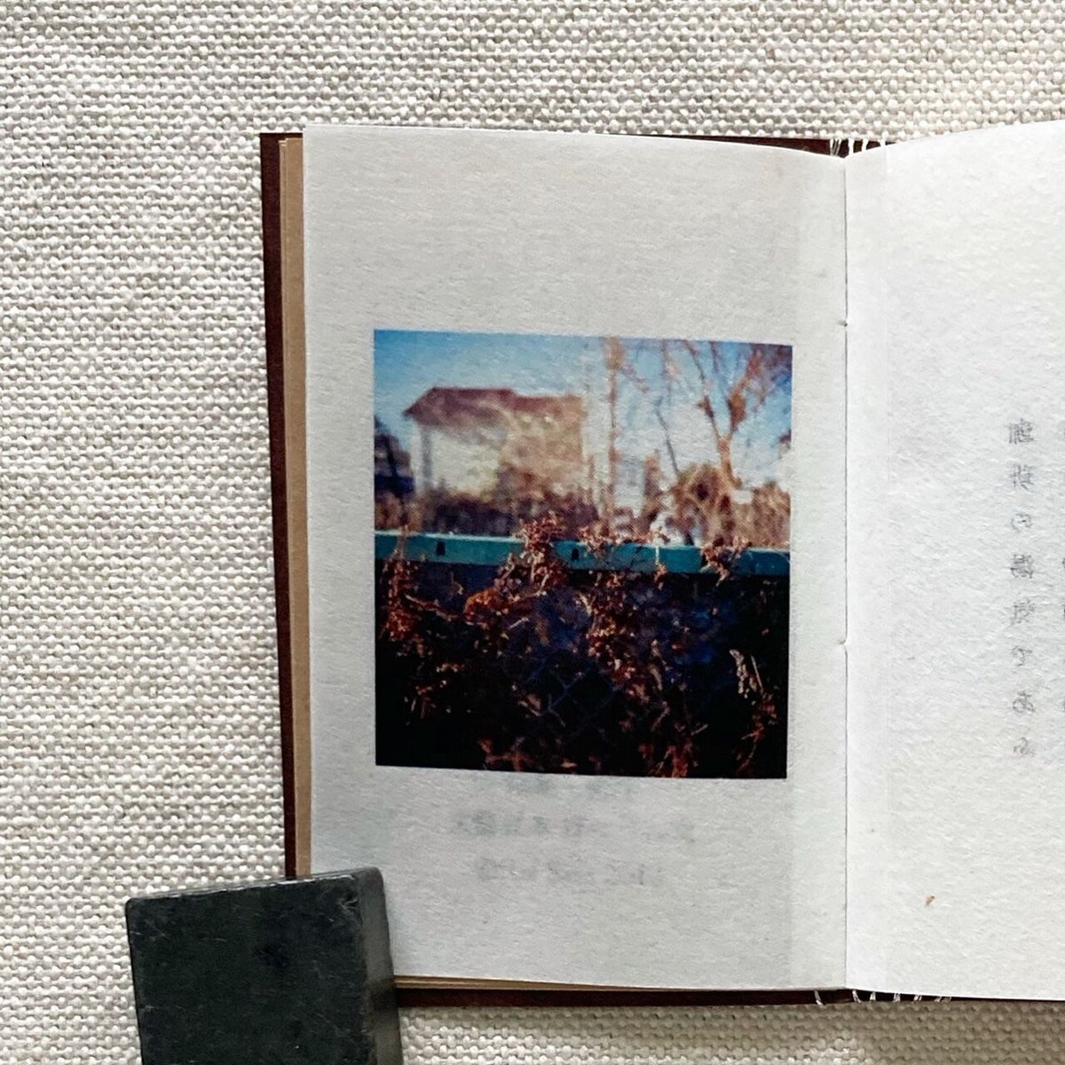 Rie Sato｜What I meant to say. | 曲線