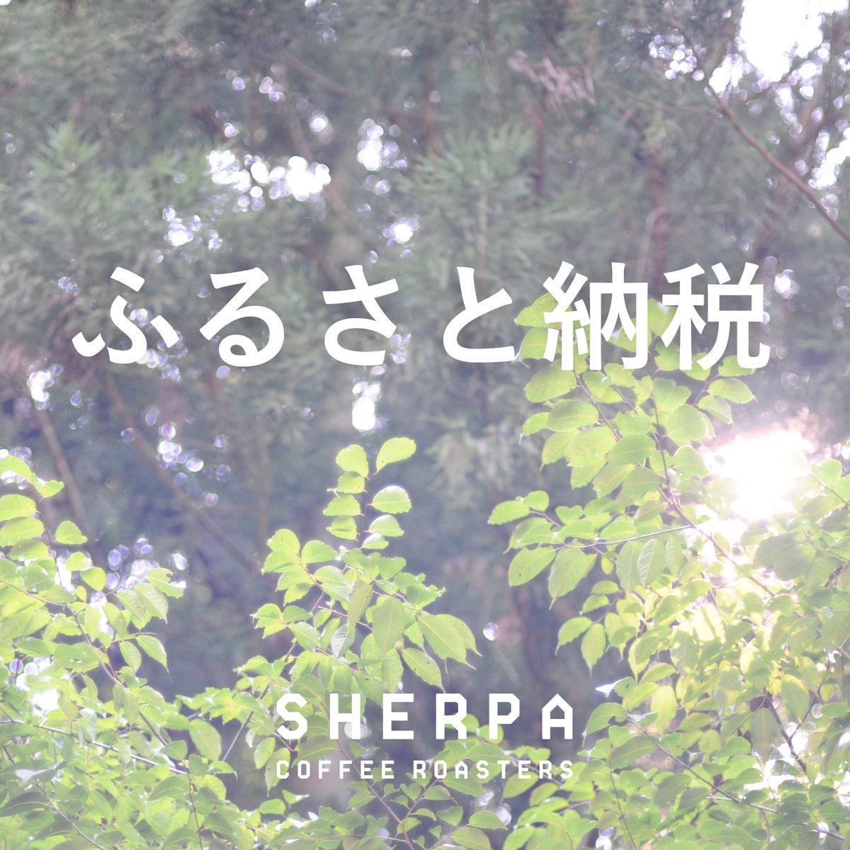 ふるさと納税 | SHERPA COFFEE ROASTERS