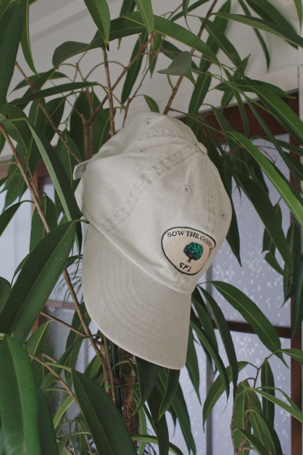 SOW THE GOOD SEED CAP | spi plants