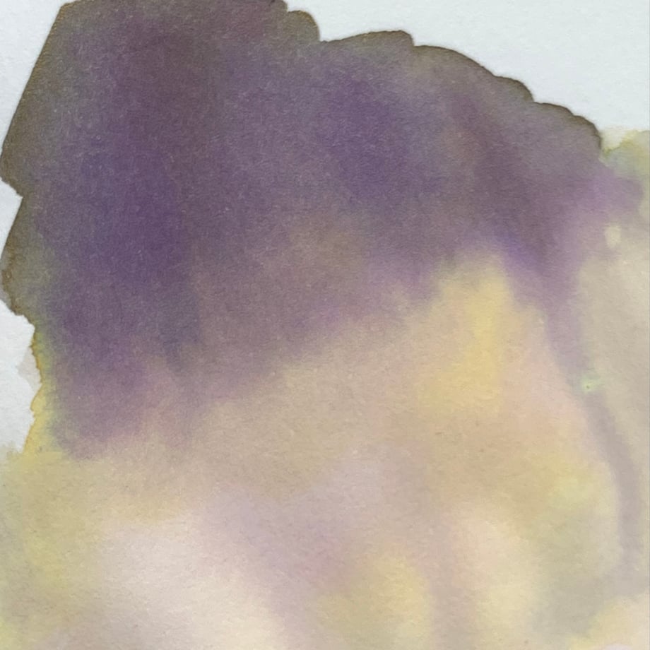 STARRY INK 星墨 閃鱗蛇尾巴 (ゼノペルティス・テイル) 温度変色インク | 薫月文具堂