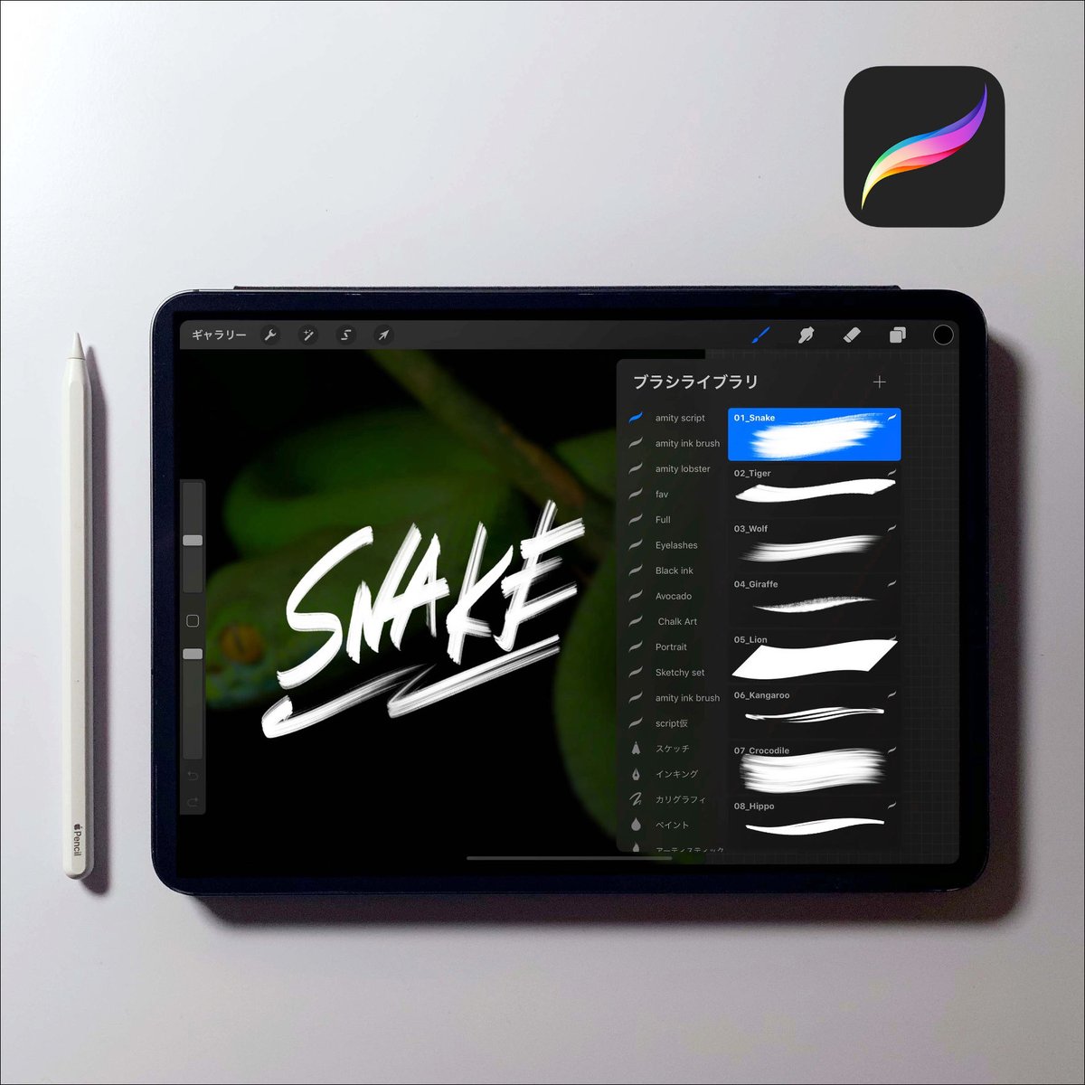 Procreate 文字スクリプトブラシ16本セット | amity_sensei