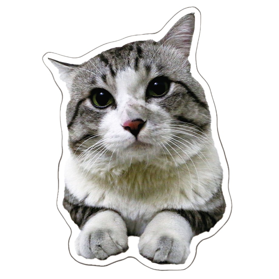 【予約販売】 旅猫 ニャン吉 ステッカー 3枚セット SU019NN | ANISTAR