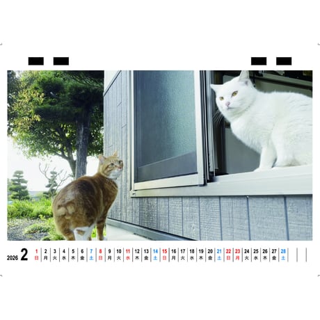 【予約販売】 猫と人間の家族 2026年 卓上カレンダー TC26238 | ANISTAR