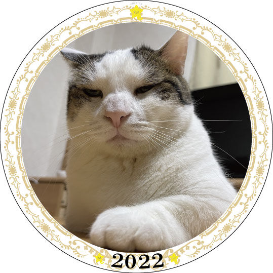 【予約販売】 ひのき猫 2022年 イヤープレート皿立て付き PU2204 | ANISTAR
