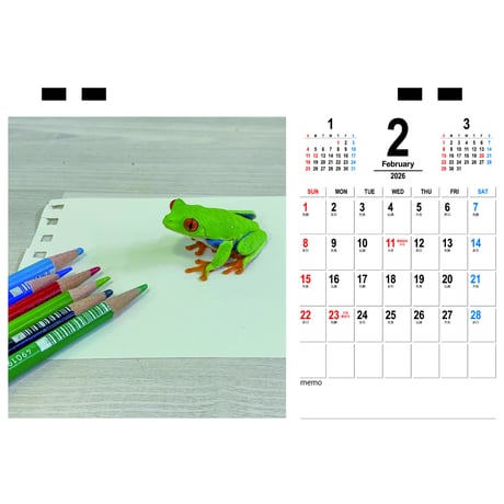 【予約販売】 ぴよのカエル 2026年 卓上 カレンダー TC26025 | ANISTAR
