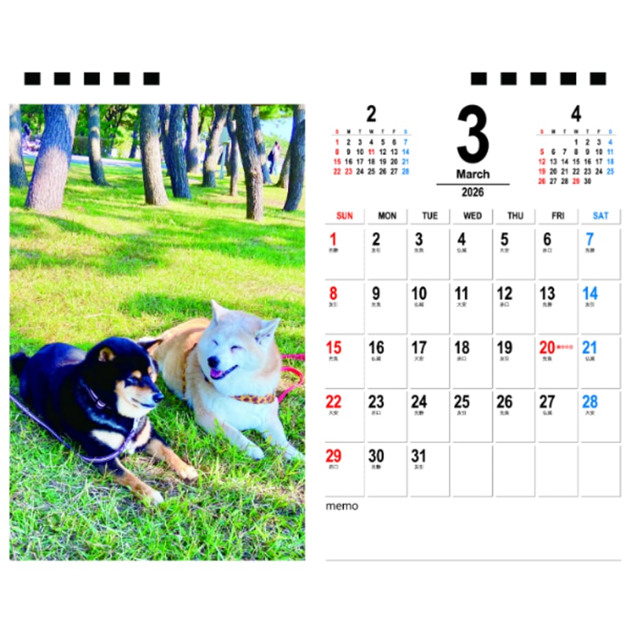 【予約販売】 柴犬のよもぎ 2026年 卓上 カレンダー TA26325 | ANISTAR
