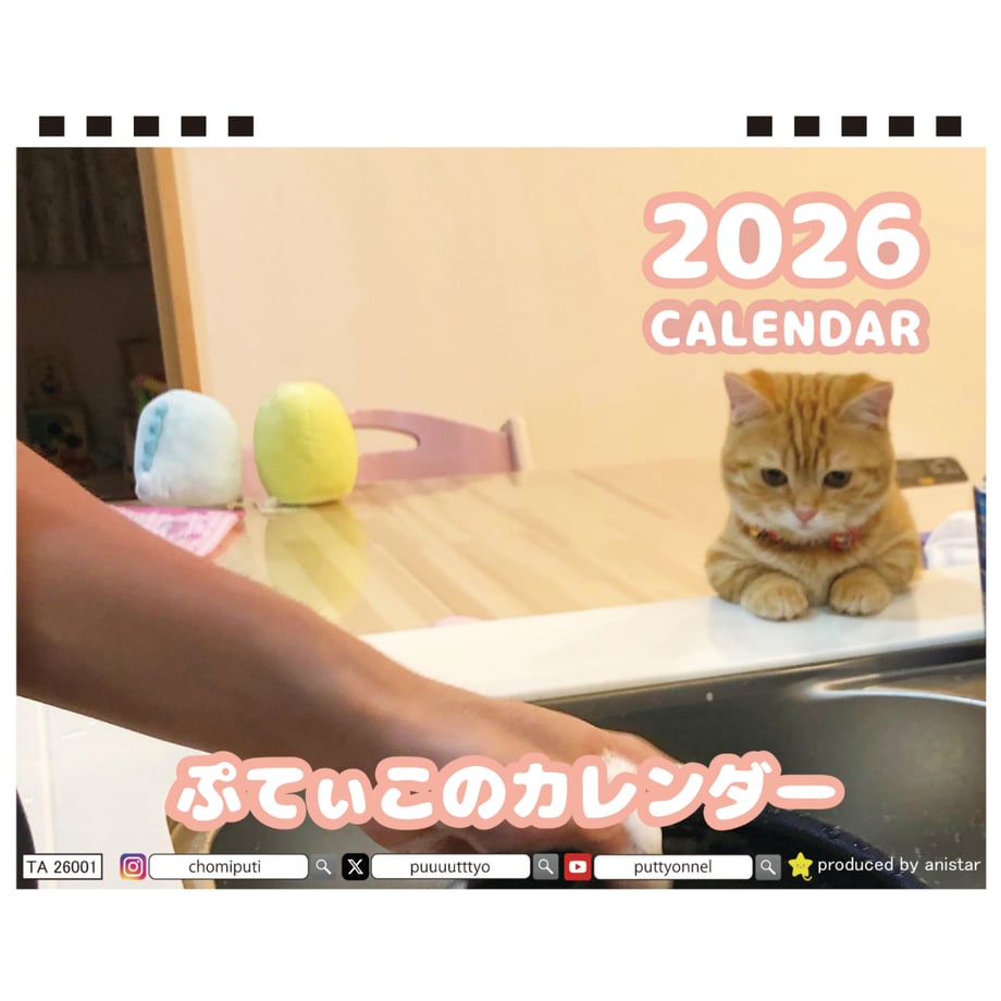 【予約販売】ちょみぱおぷー 猫 2026年 卓上カレンダー TA26278 | ANISTAR