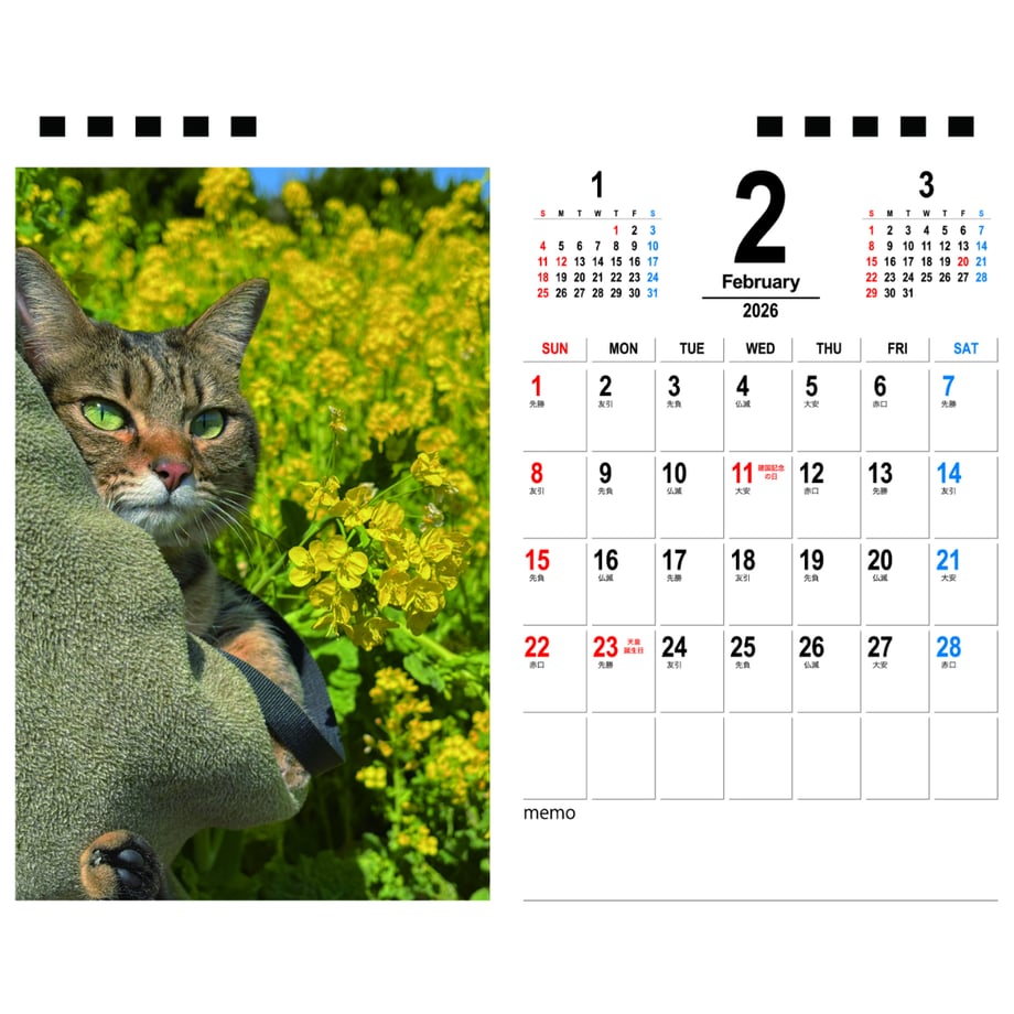 【予約販売】 TENTEN 猫 2026年 卓上カレンダー TA26068 | ANISTAR