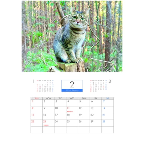 【予約販売】 TENTEN 猫 2026年 壁掛けカレンダー KK26067 | ANISTAR