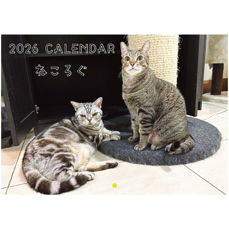 【予約販売】 ねころぐ 猫 2026年 壁掛け カレンダー KK26319 | ANISTAR