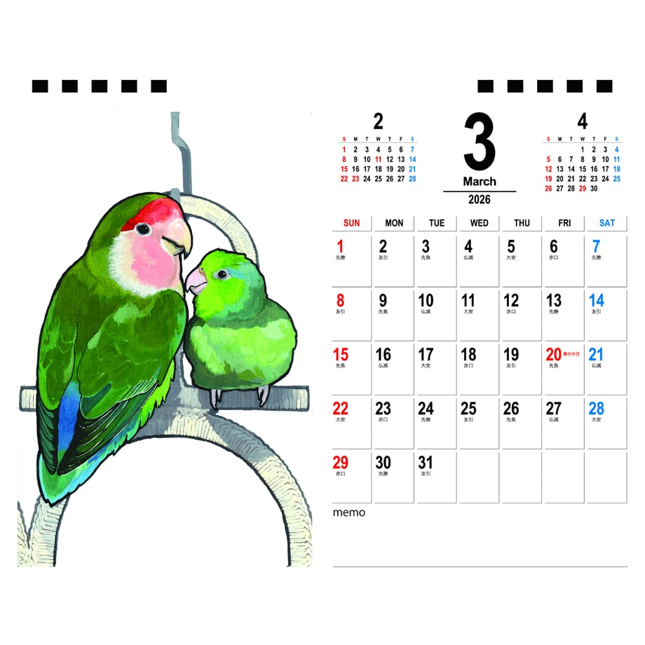 【予約販売】 いたずらオウム 鳥 2026年 卓上 カレンダー TA26289 | ANISTAR
