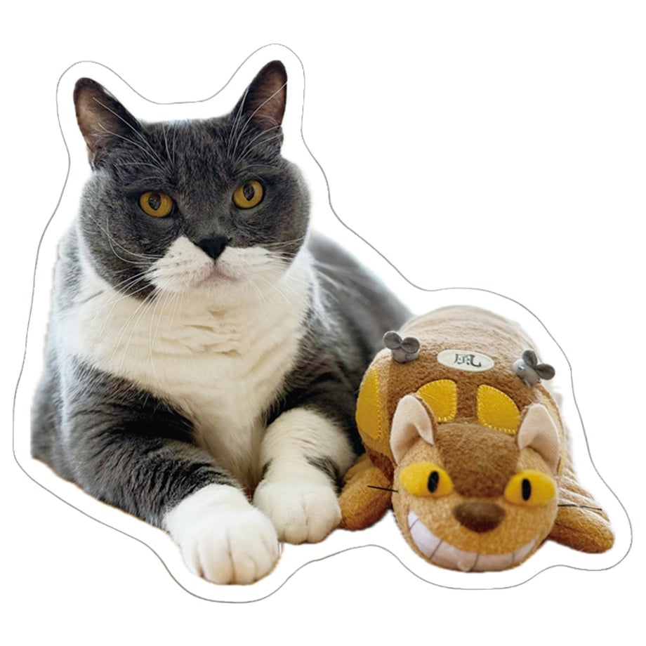 【予約販売】 猫のウルン＆リコリン シール 5枚セット SE021NN | ANISTAR