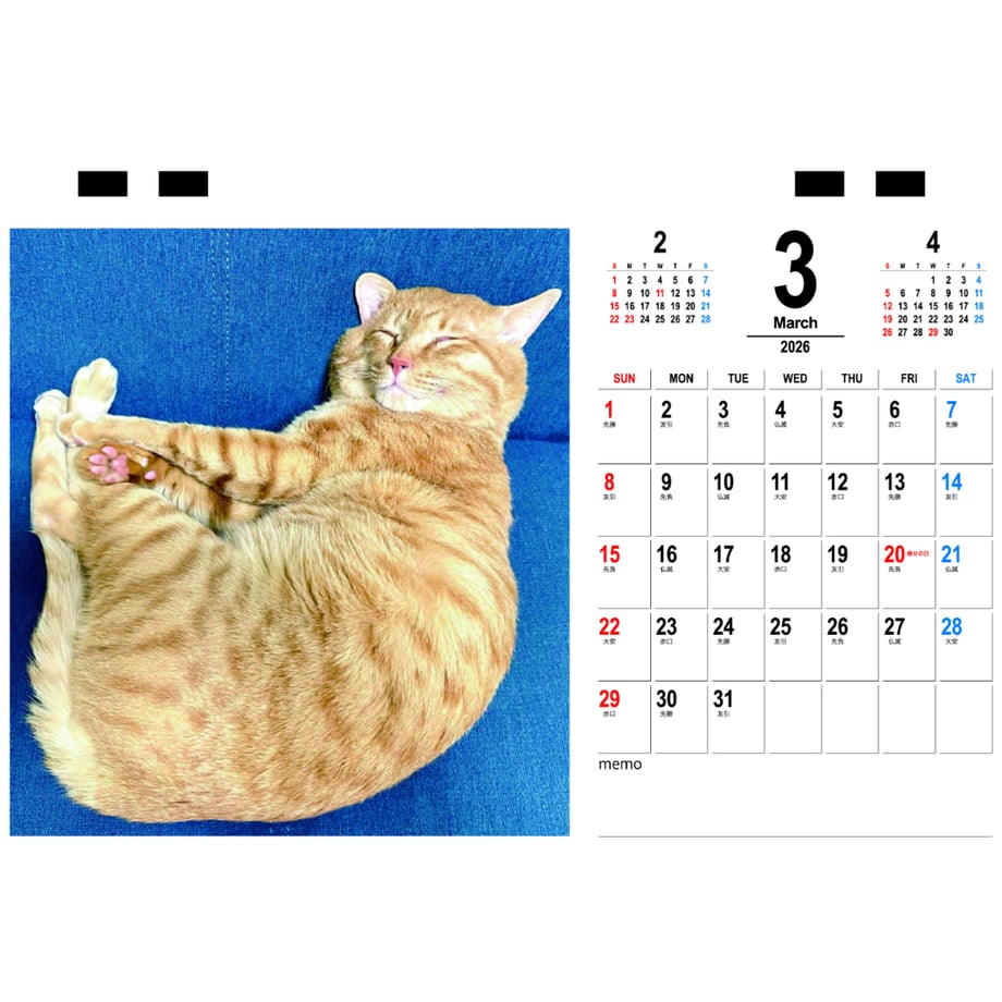【予約販売】 猫のにゃろめっこ 2026年 卓上カレンダー TC26157 | ANISTAR