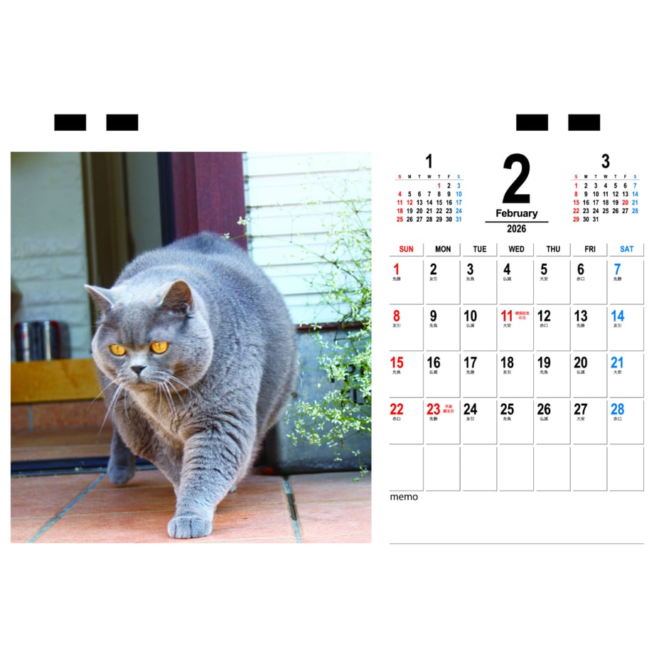 【予約販売】 gris 猫 2026年 卓上カレンダー TC26223 | ANISTAR