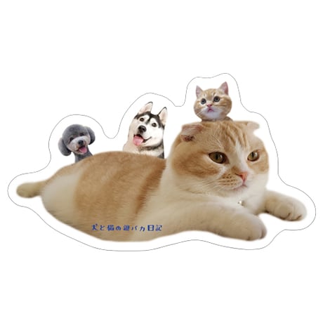 【予約販売】 犬と猫の親バカ日記 ステッカー 3枚セット SU015NN | ANISTAR