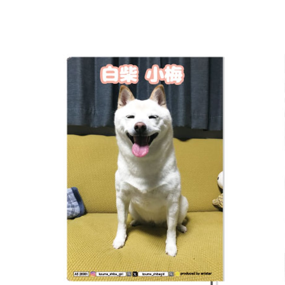 【予約販売】 白柴 小梅 犬 2026年 A5スケジュール帳 A526198 | ANISTAR