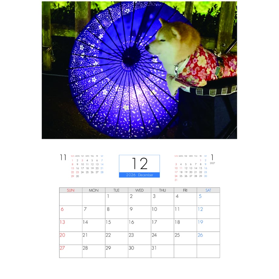 【予約販売】 柴犬 小雨 2026年 壁掛け カレンダー KA26005 | ANISTAR