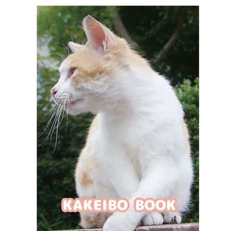 【予約販売】 ねこかます 猫 家計簿 CA002NN | ANISTAR