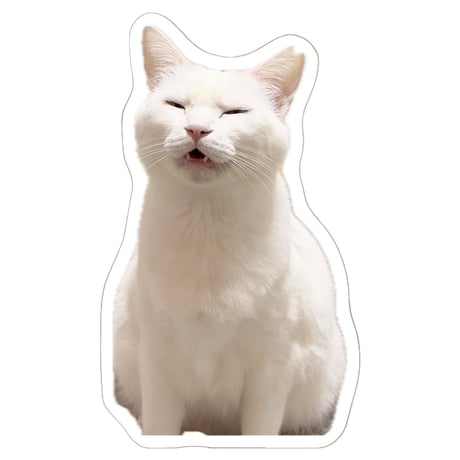 【予約販売】 猫のウルン＆リコリン シール 5枚セット SE021NN | ANISTAR