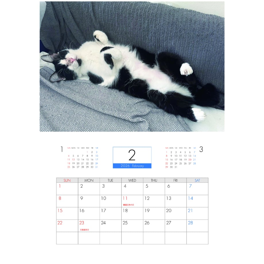 【予約販売】 ねころぐ 猫 2026年 壁掛け カレンダー KK26319 | ANISTAR