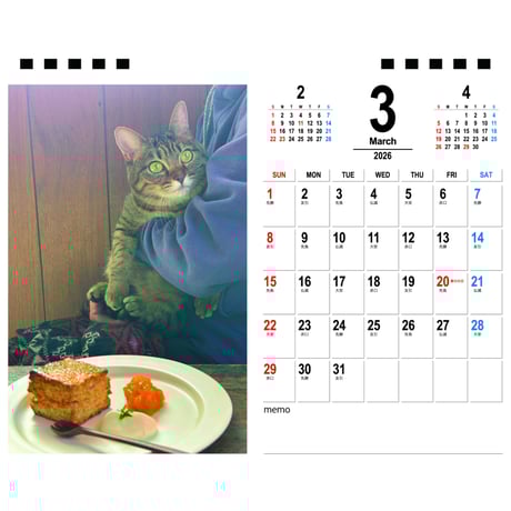【予約販売】 TENTEN 猫 2026年 卓上カレンダー TA26068 | ANISTAR