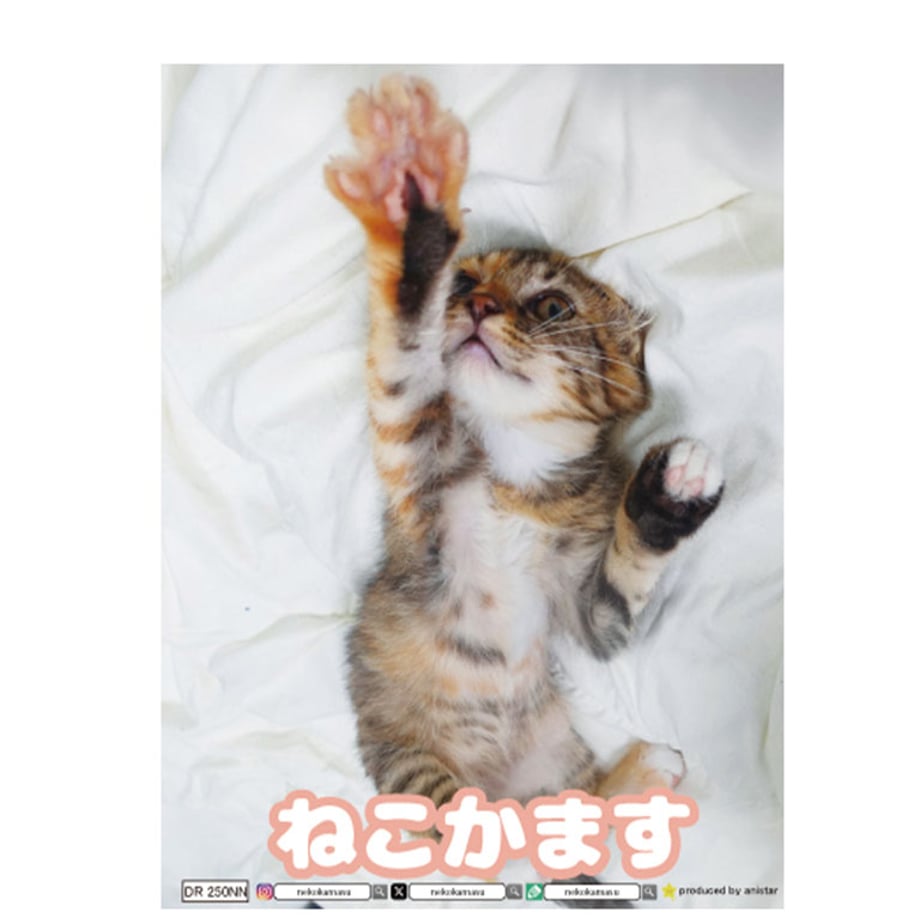 【予約販売】 ねこかます 猫 日記帳 DR002NN | ANISTAR
