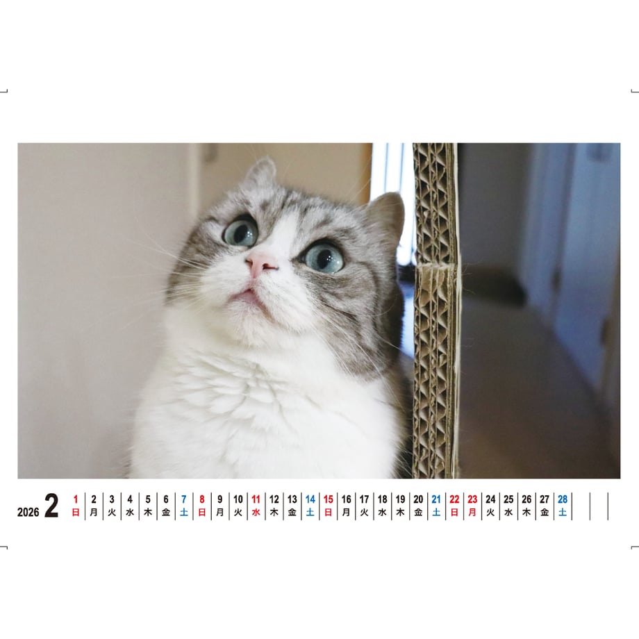 【予約販売】 猫のこまる 2026年 卓上カレンダー TC26139 | ANISTAR