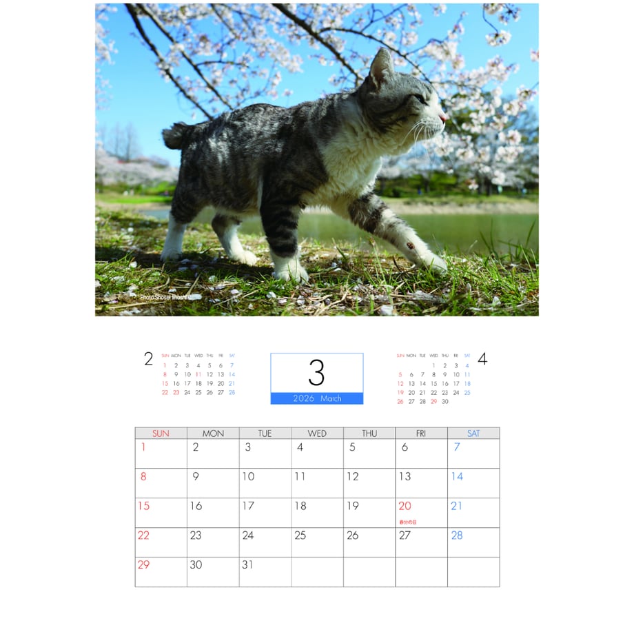 【予約販売】 旅猫 ニャン吉 2026年 壁掛けカレンダー KK26096 | ANISTAR