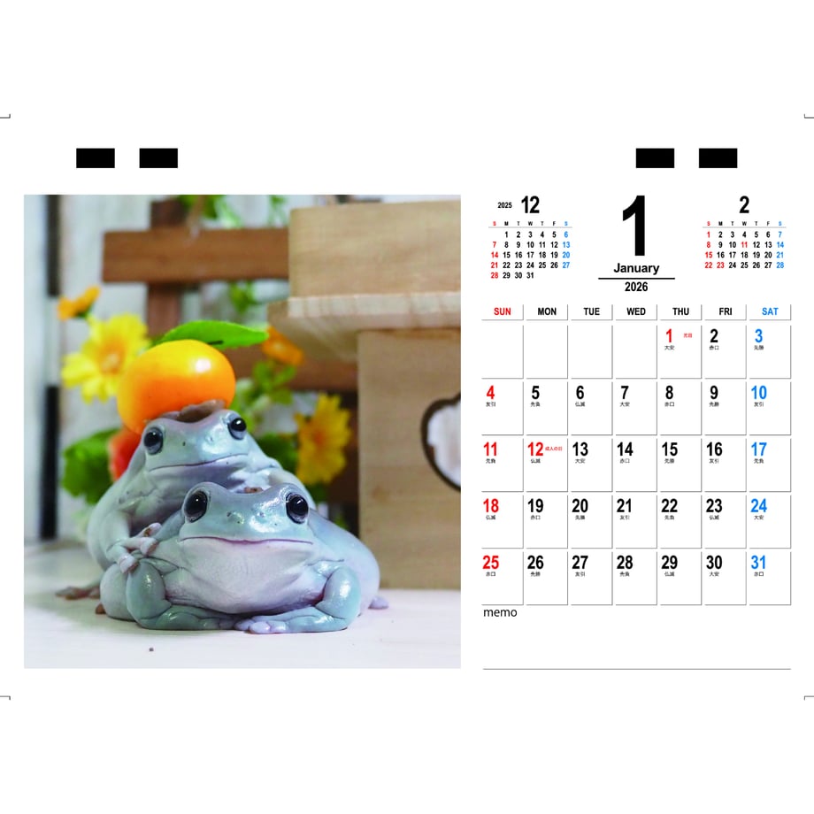 【予約販売】 ぴよのカエル 2026年 卓上 カレンダー TC26025 | ANISTAR