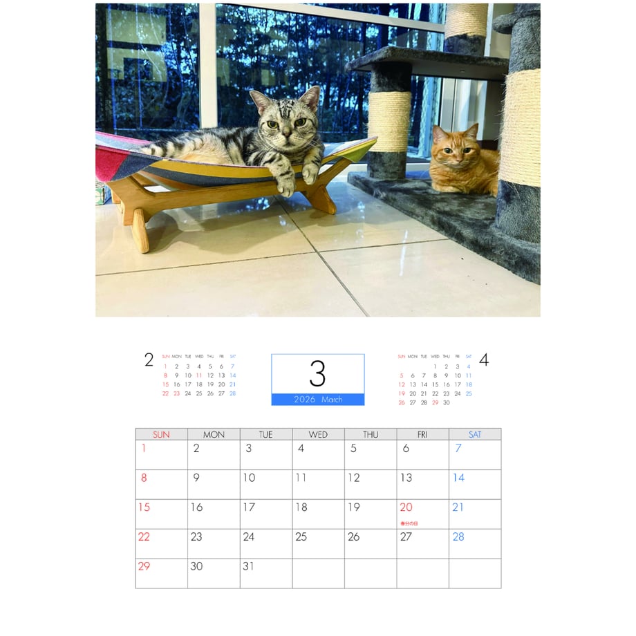 【予約販売】 ねころぐ 猫 2026年 壁掛け カレンダー KK26319 | ANISTAR