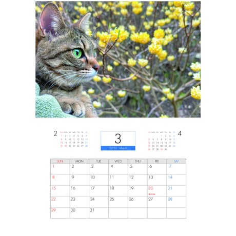 【予約販売】 TENTEN 猫 2026年 壁掛けカレンダー KK26067 | ANISTAR
