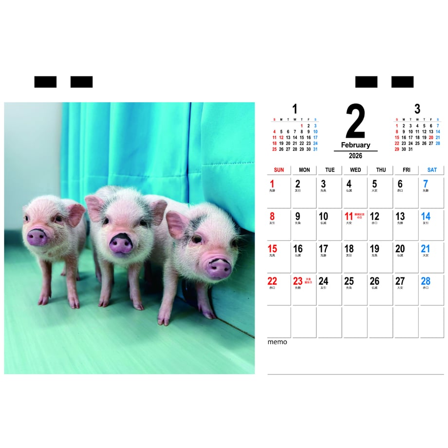 【予約販売】 マイクロブタちゃん 2026年 卓上カレンダー TC26161 | ANISTAR