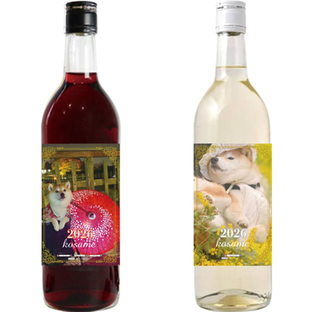 【予約販売】 柴犬 小雨 2026年 紅白ワイン 2本セット 2W001NN | ANISTAR