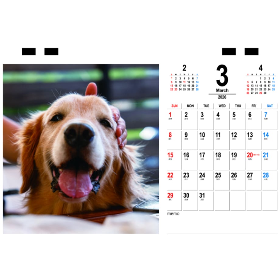 【予約販売】 ジョイ＆マックス 犬 2026年 卓上 カレンダー TC26324 | ANISTAR