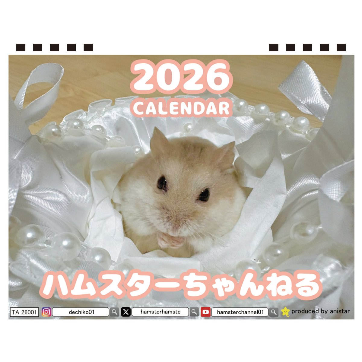 【予約販売】 ハムスターちゃんねる 2026年 卓上カレンダー TA26284 | ANISTAR