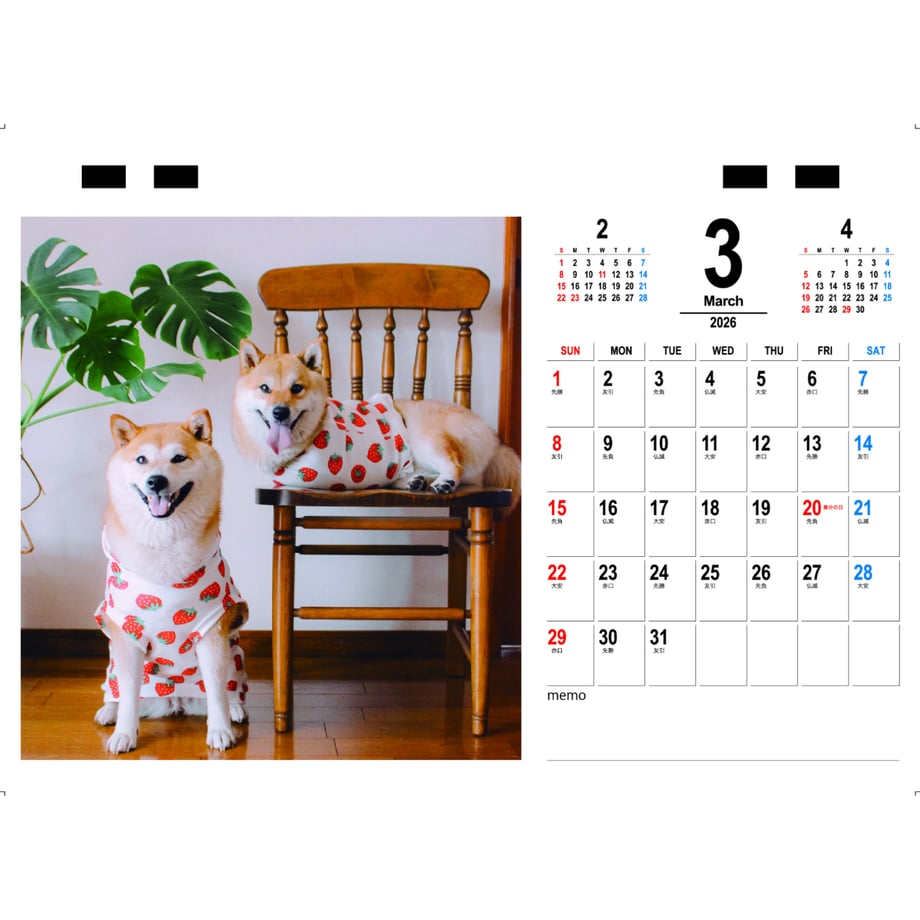 【予約販売】 柴犬の春子＆福 2026年 卓上カレンダー TC26154 | ANISTAR