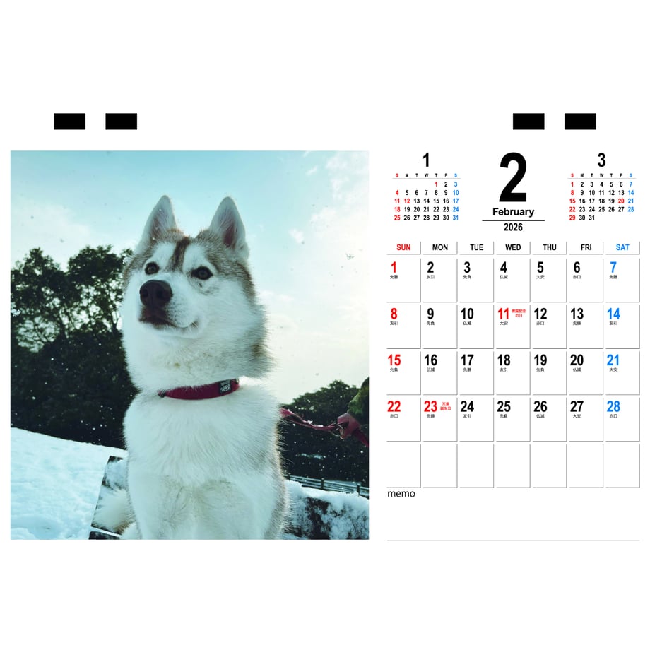 【予約販売】 りりここたんねる 2026年 卓上カレンダー TC26206 | ANISTAR